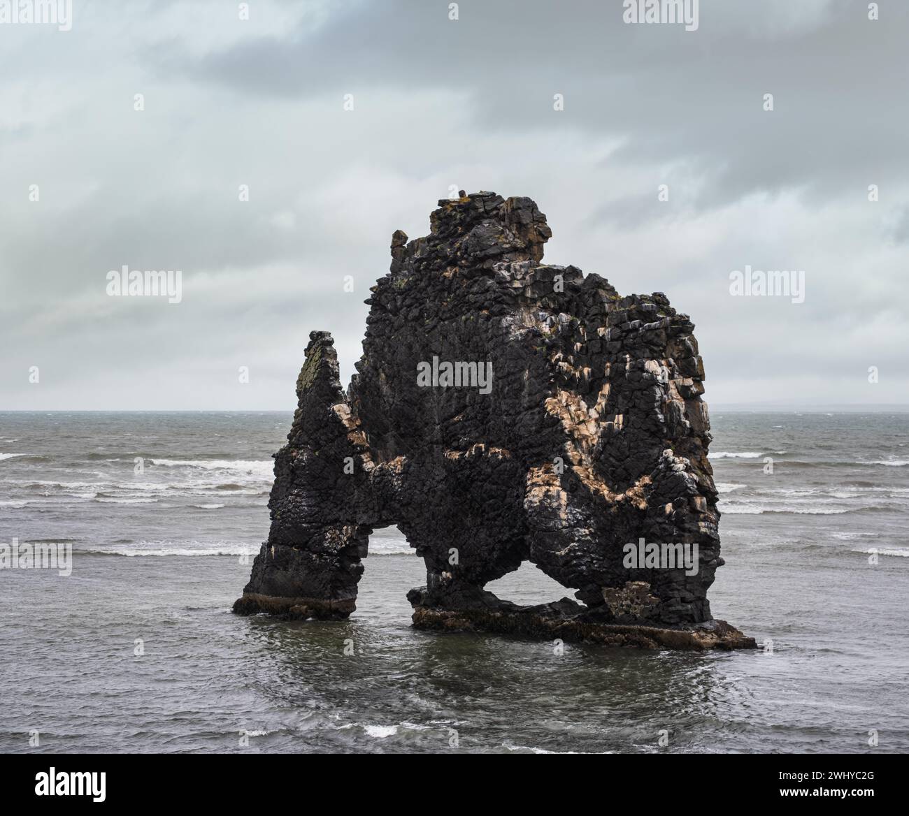 The drinking elephant or rhinoceros, basalt stack Hvitserkur along the ...
