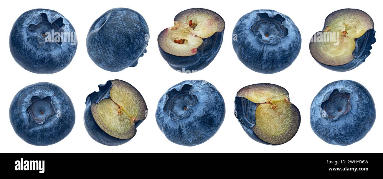 Blueberries isolated on white background, full depth of field Stock ...