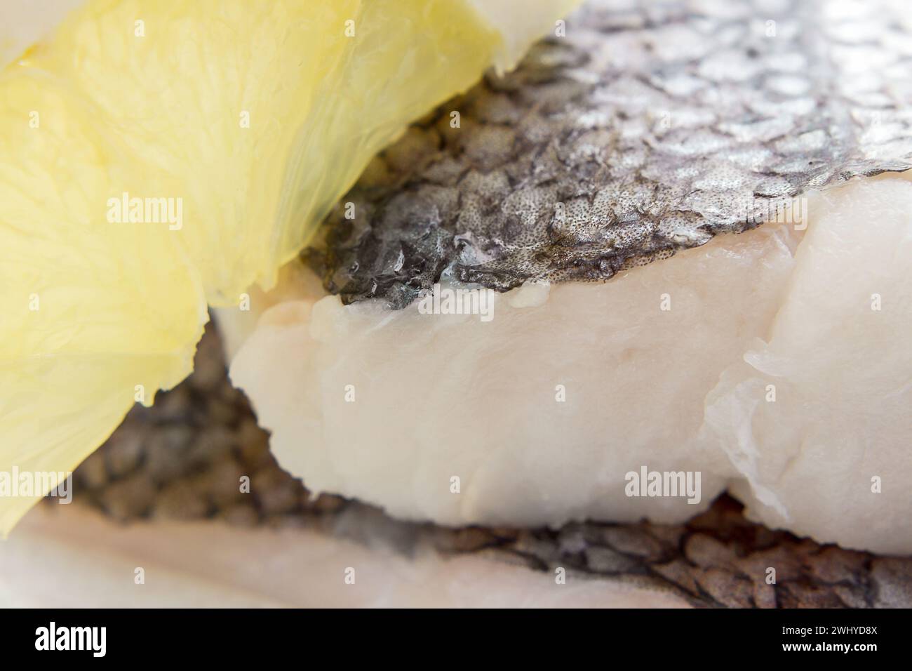 Hake fillet with skin, lemon, macro Stock Photo - Alamy