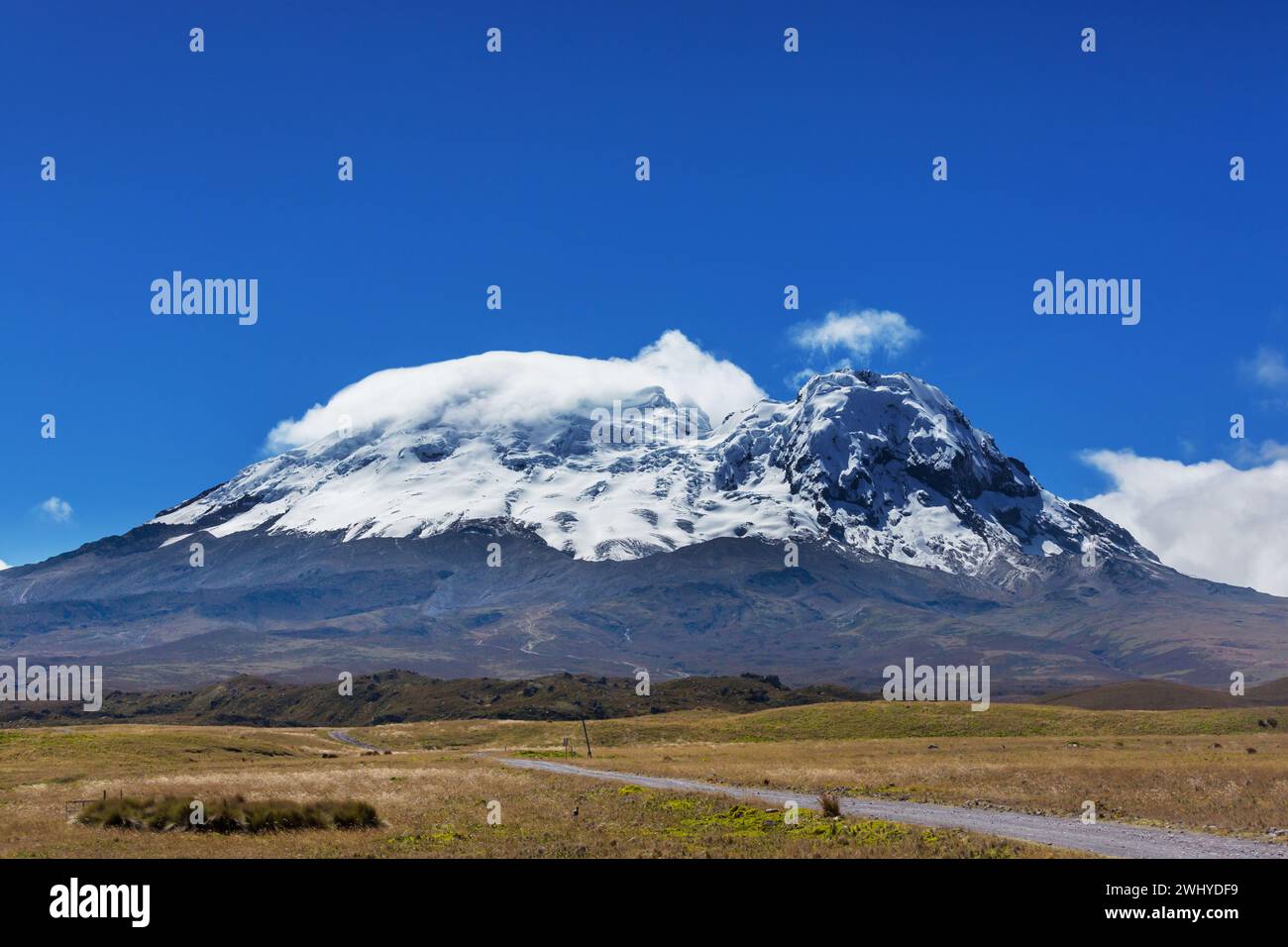 Antisana volcano reserve hi-res stock photography and images - Alamy