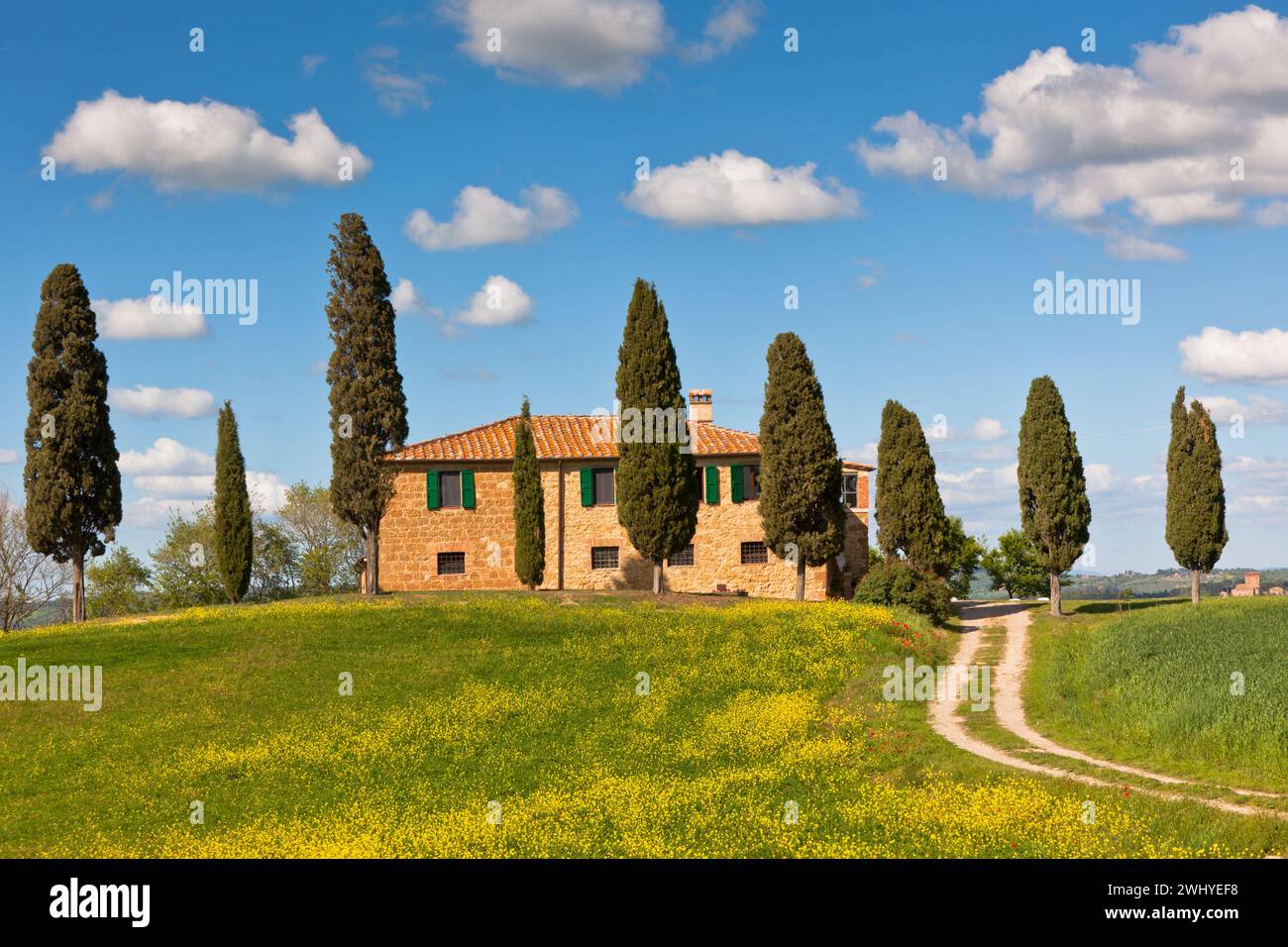 Tuscan agriculture hi-res stock photography and images - Alamy