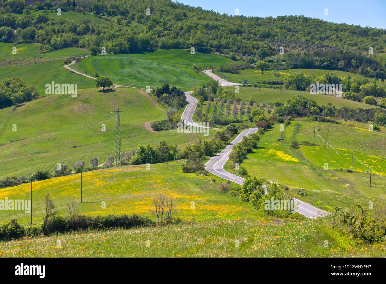 Tuscan view with local curve road Stock Photo - Alamy