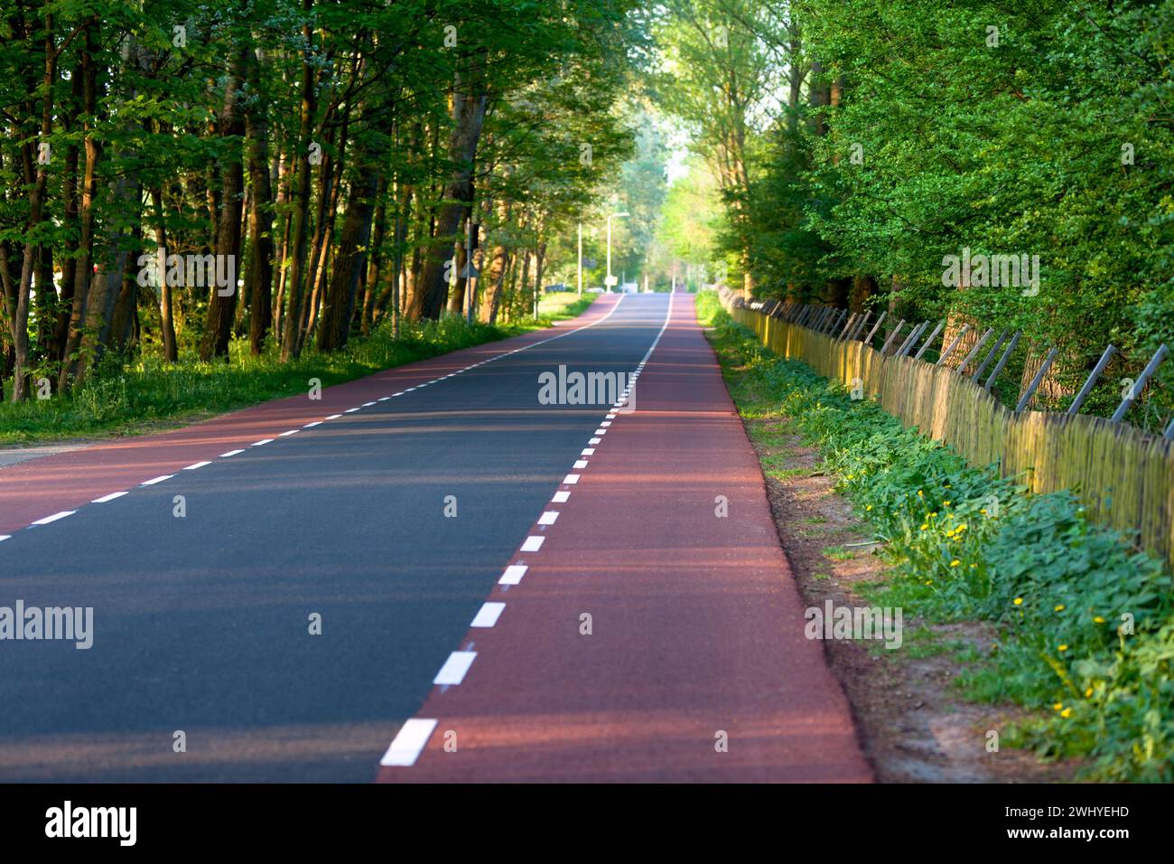 Empty country road with single tree hi-res stock photography and images ...