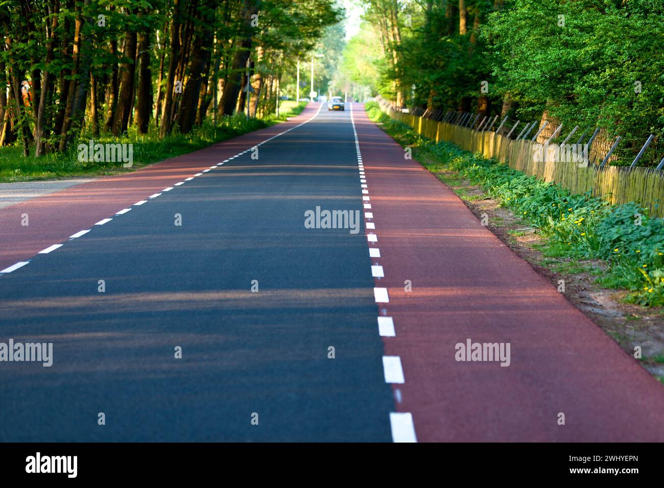 Empty highway green forest hi-res stock photography and images - Alamy