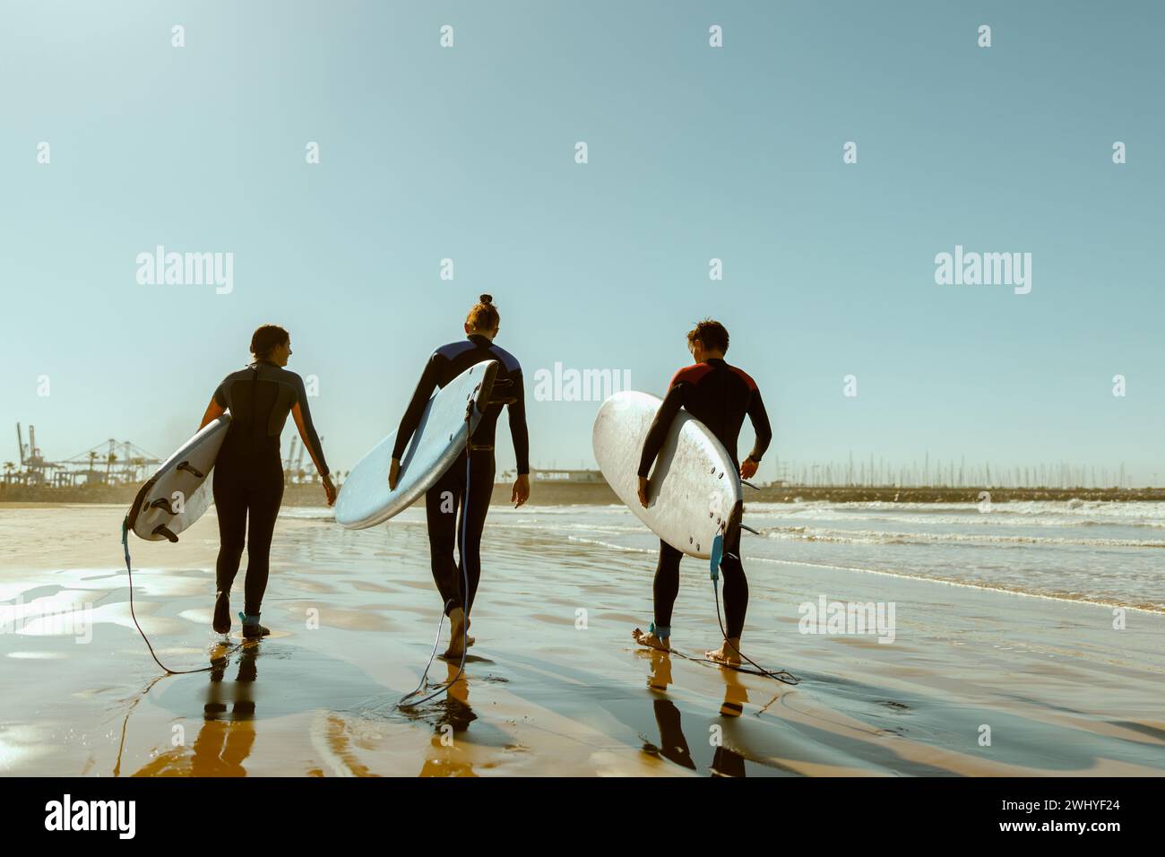 Back view of group of friends with surfboards in wetsuit entering ...