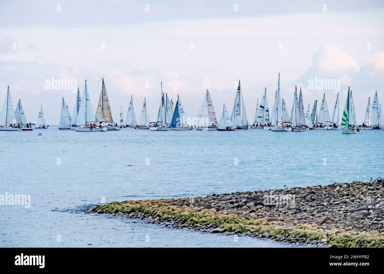 Bodensee regatta hi-res stock photography and images - Alamy