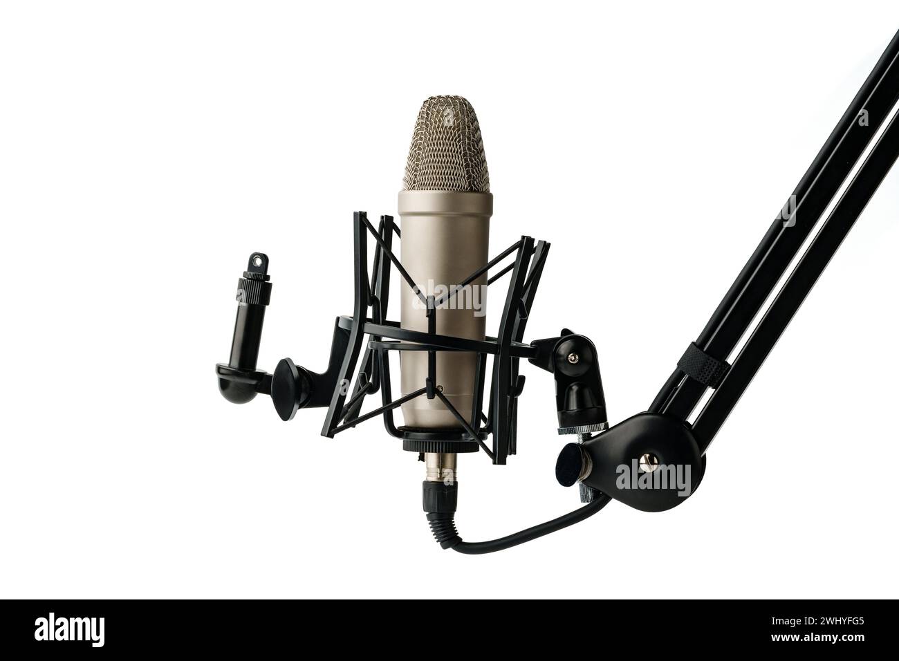 Professional studio microphone on the white background Stock Photo - Alamy