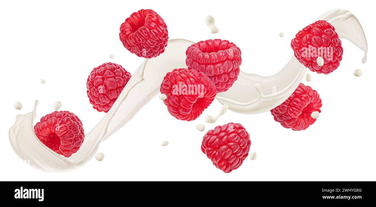 Raspberries with milk splash isolated on white background Stock Photo ...