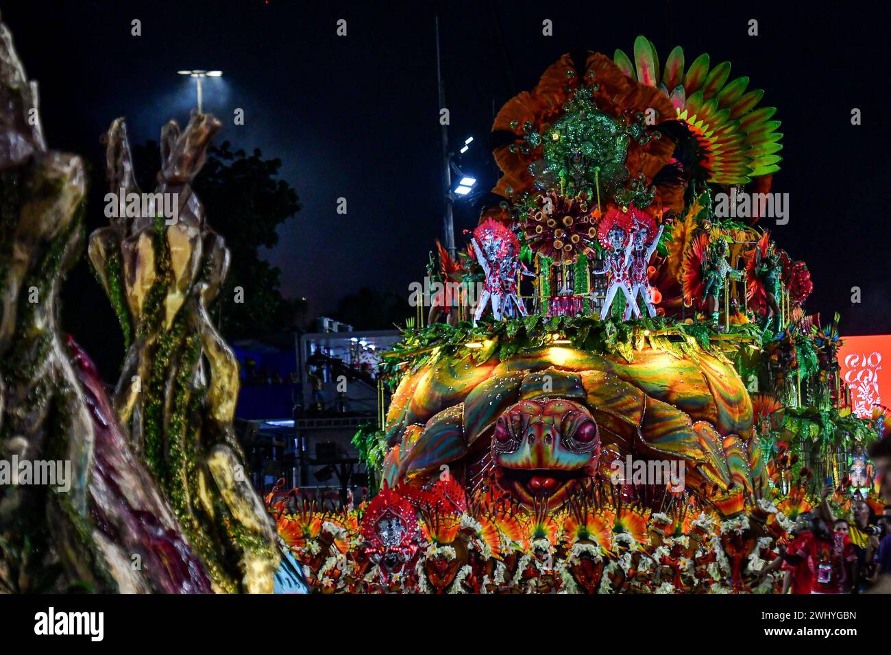 RJ - RIO DE JANEIRO - 02/11/2024 - CARNIVAL RIO 202, SPECIAL GROUP ...