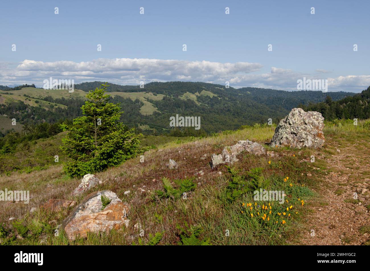 Pomo Canyon, Northern California, Coastal landscapes, Hiking trails ...