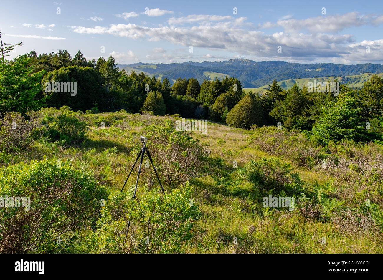 Pomo Canyon, Northern California, Coastal landscapes, Hiking trails ...