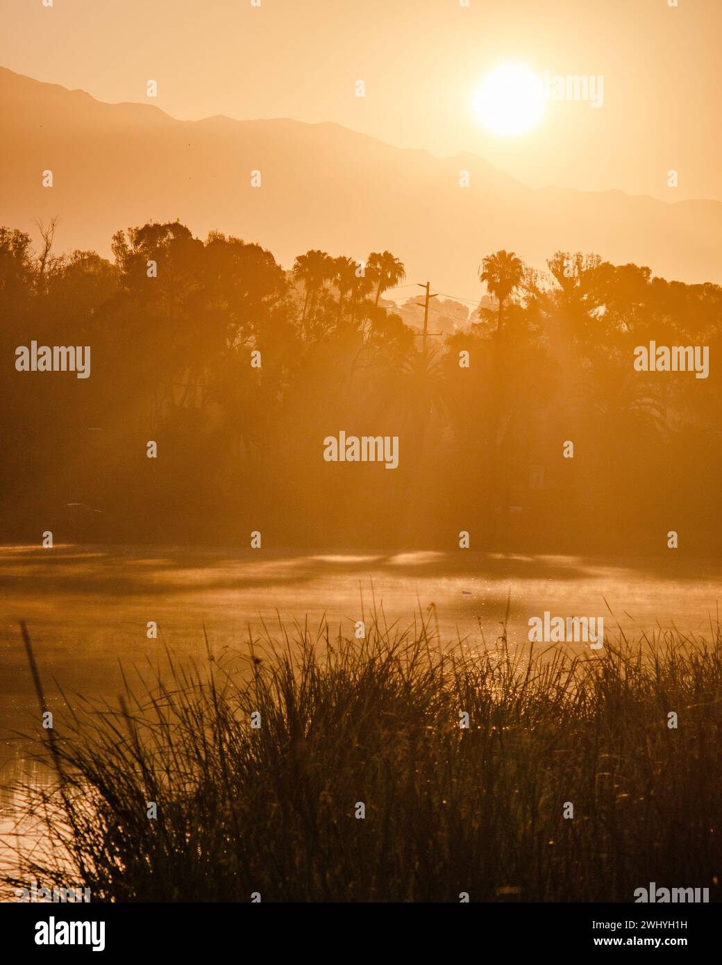 Santa Barbara Bird Refuge, Panoramic views, Wetland panorama, Coastal ...