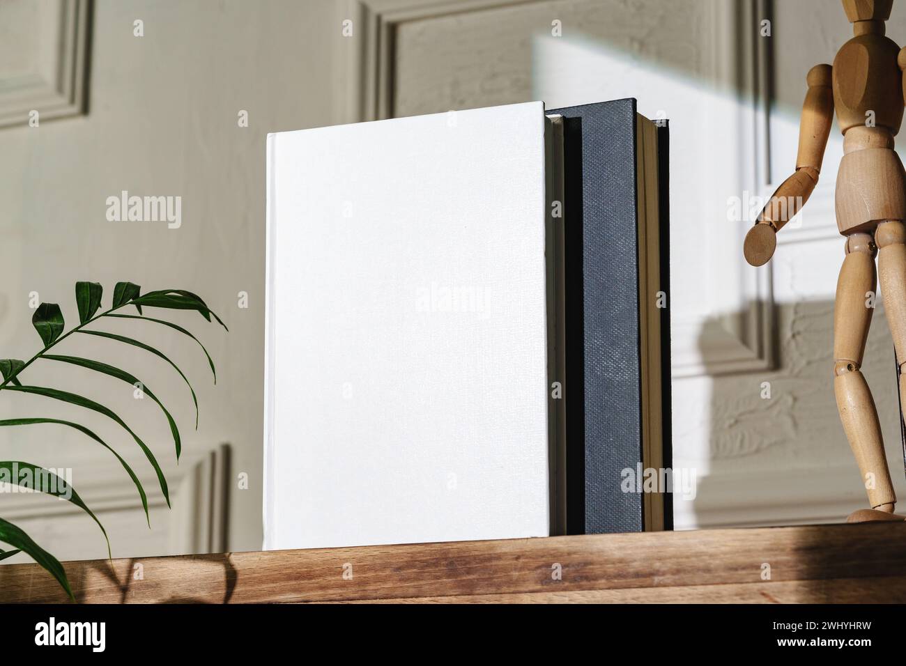 Two books stand vertically against the wall Stock Photo - Alamy