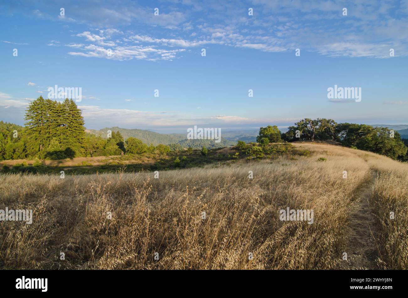 Northern California, Backcountry, Oak trees, Abandoned barns, Rural ...