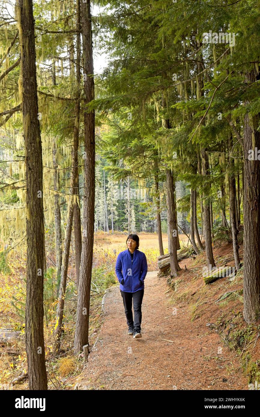 Woman walking through forest trail hi-res stock photography and images - Alamy