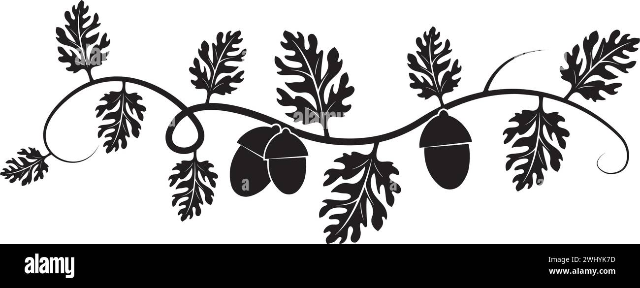 Oak branch with acorns illustration isolated on white background, vector. Oak branch with acorns ...