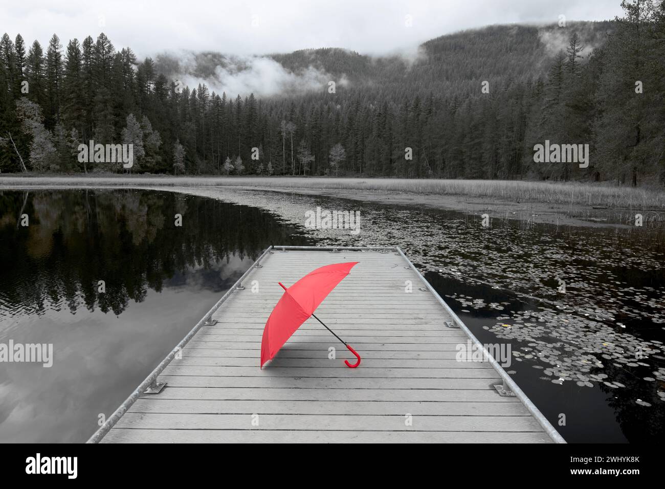 Umbrella photo hi-res stock photography and images - Alamy