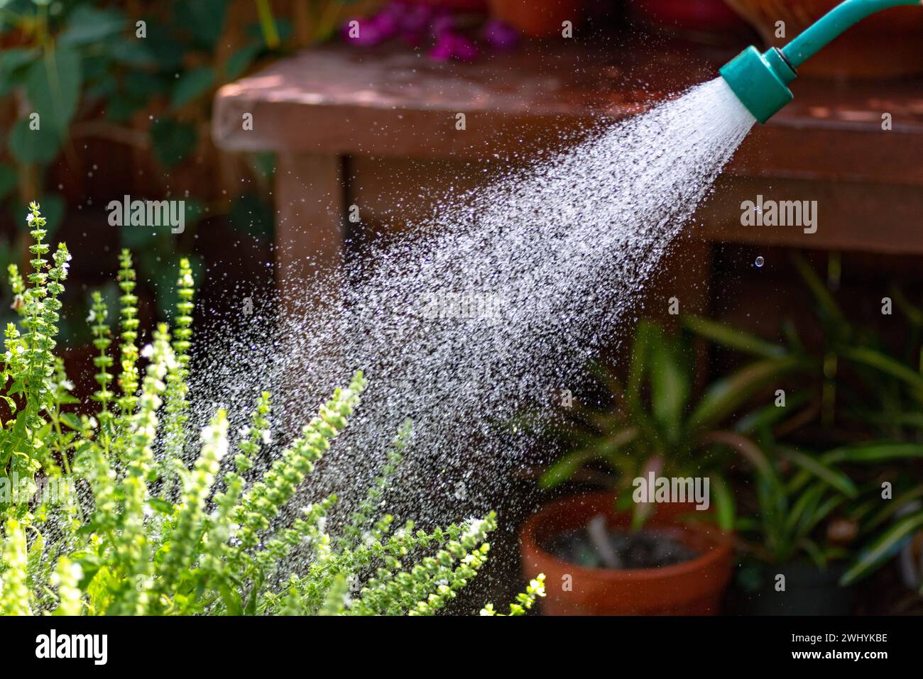 Hose nozzle hi-res stock photography and images - Alamy