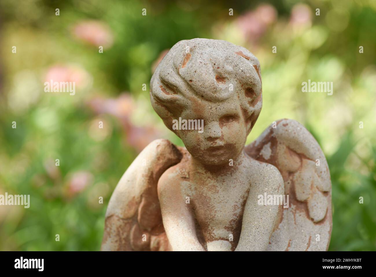 Angel-shaped, Birdbath, Verdant garden, Birds, Serenity, Ornamental ...