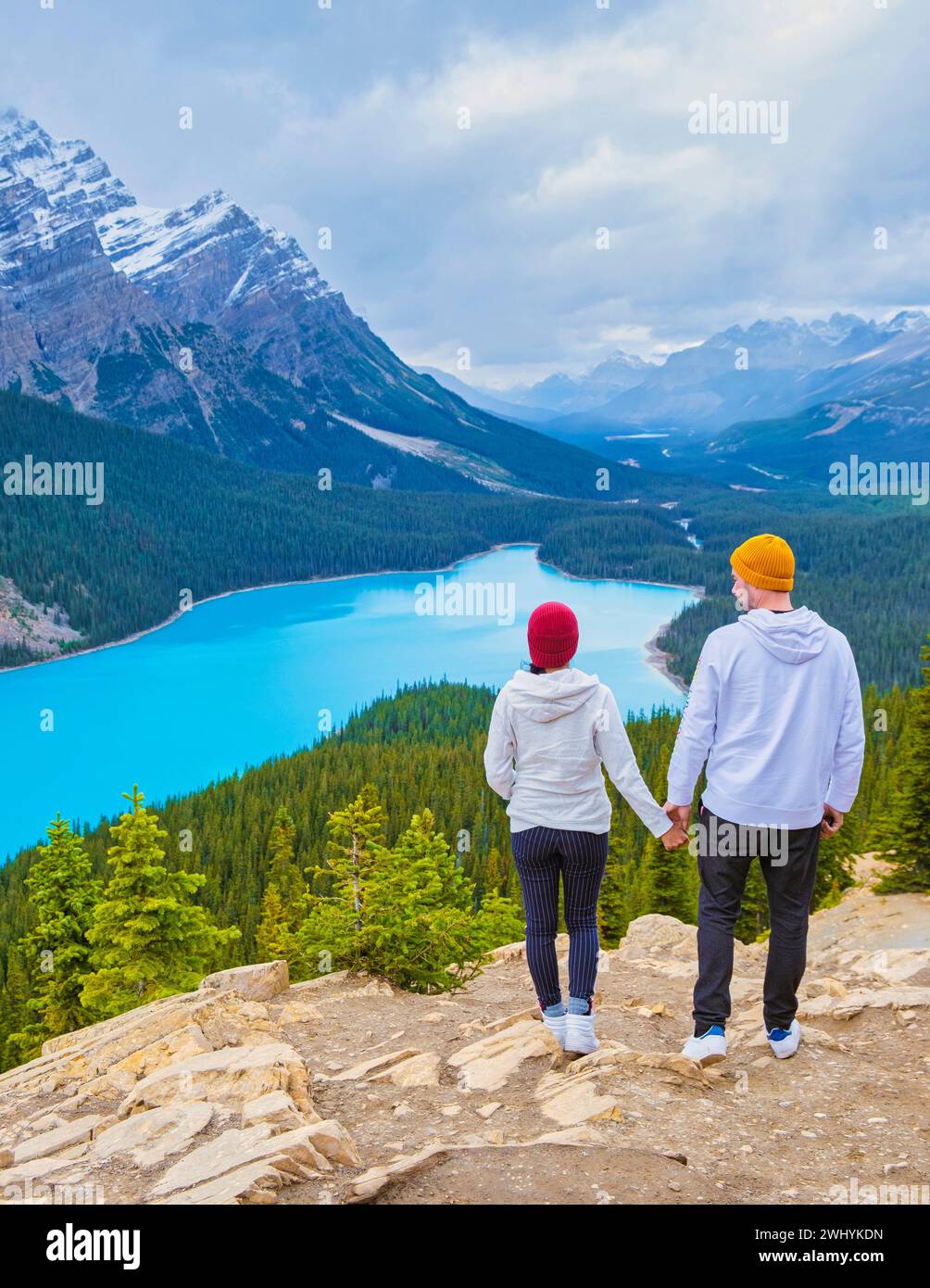 Lake Peyto in Banff National Park, Canada. Mountain Lake as a fox head ...