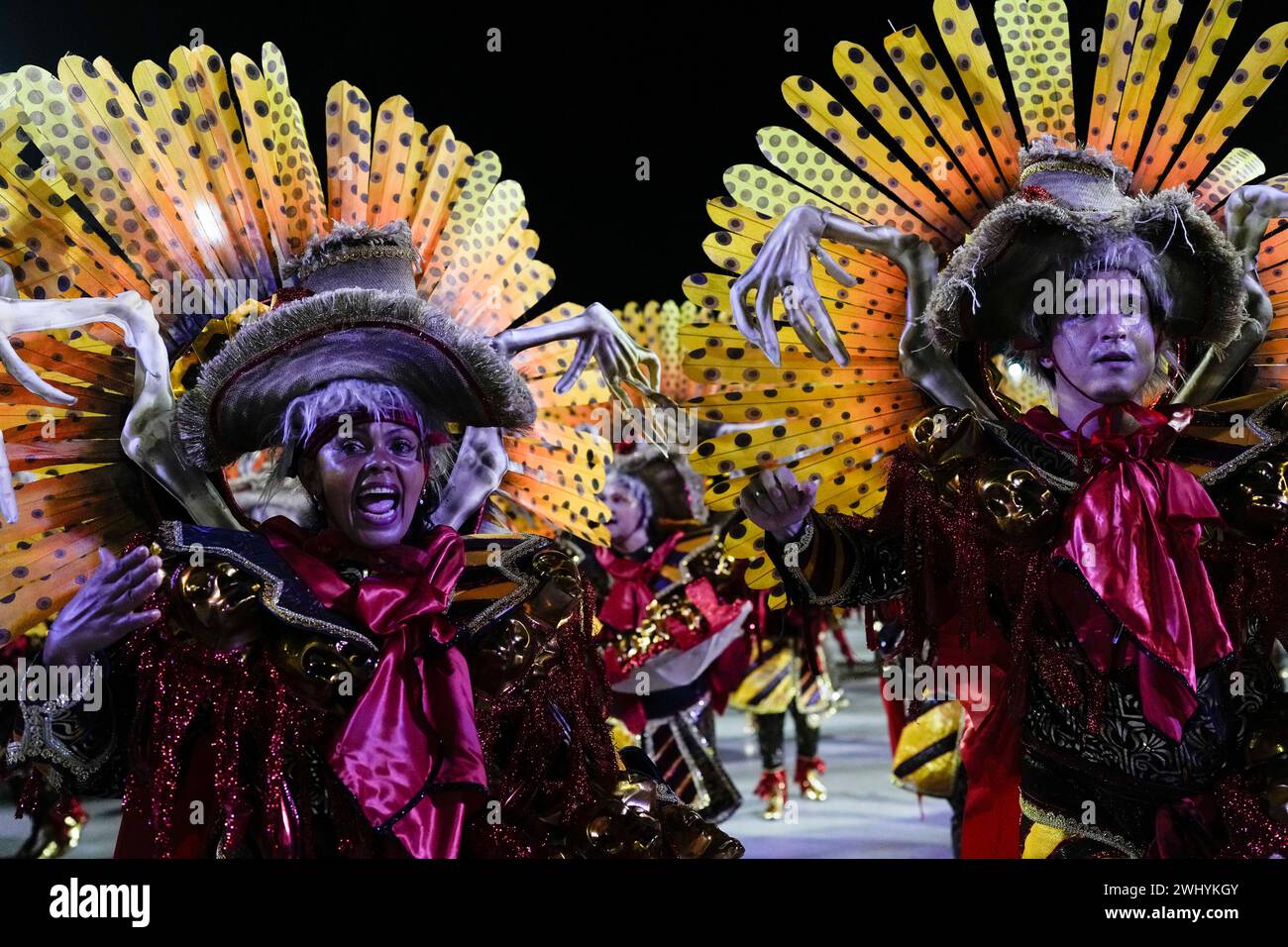 Performers from the Salgueiro samba school parade during Carnival ...