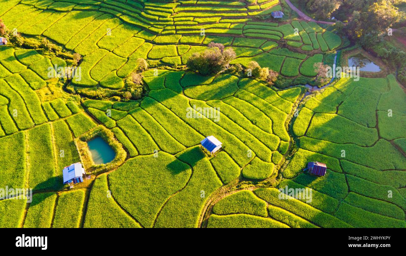 Terraced Rice Field in Chiangmai, Royal Project Khun Pae Northern ...