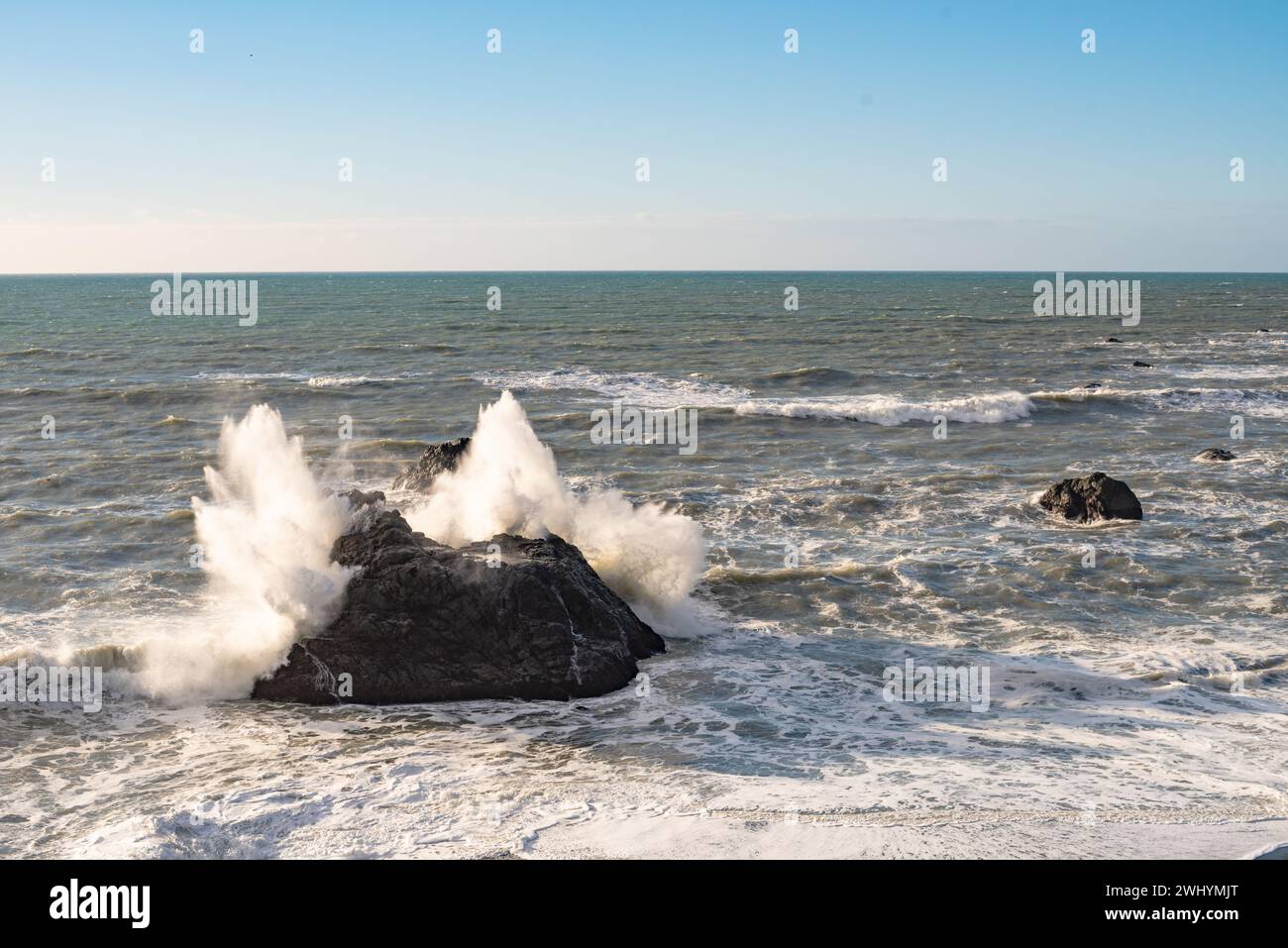 Goat Rock, Northern California, Seagull, Waves, Coastal beauty, Pacific ...