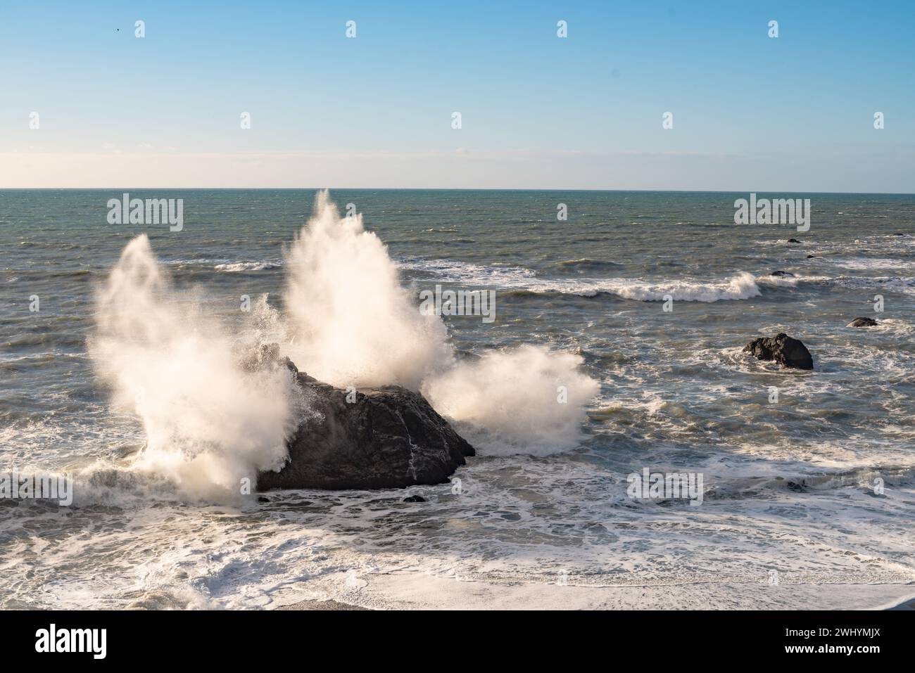 Goat Rock, Northern California, Seagull, Waves, Coastal beauty, Pacific ...