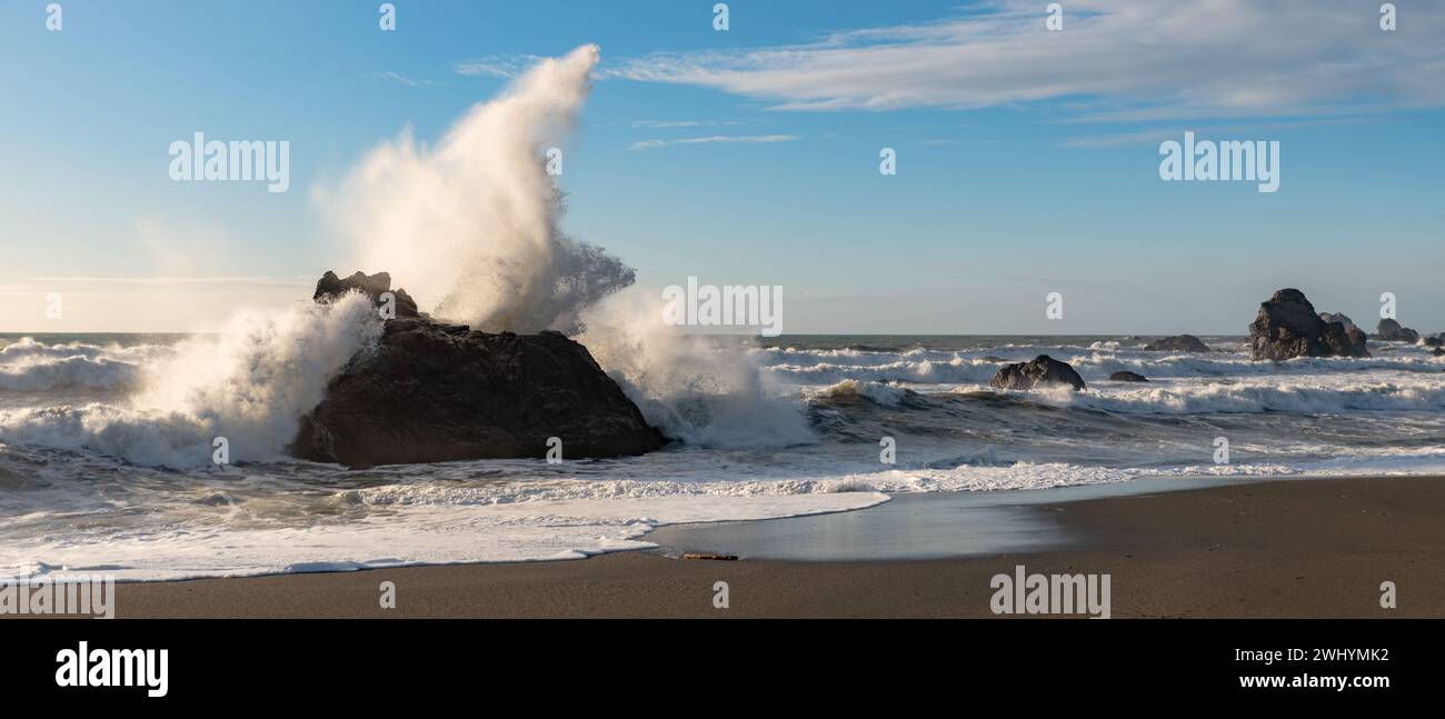 Goat Rock, Northern California, Seagull, Waves, Coastal beauty, Pacific ...