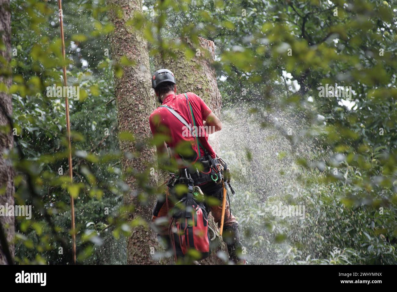 Working at height hi-res stock photography and images - Alamy