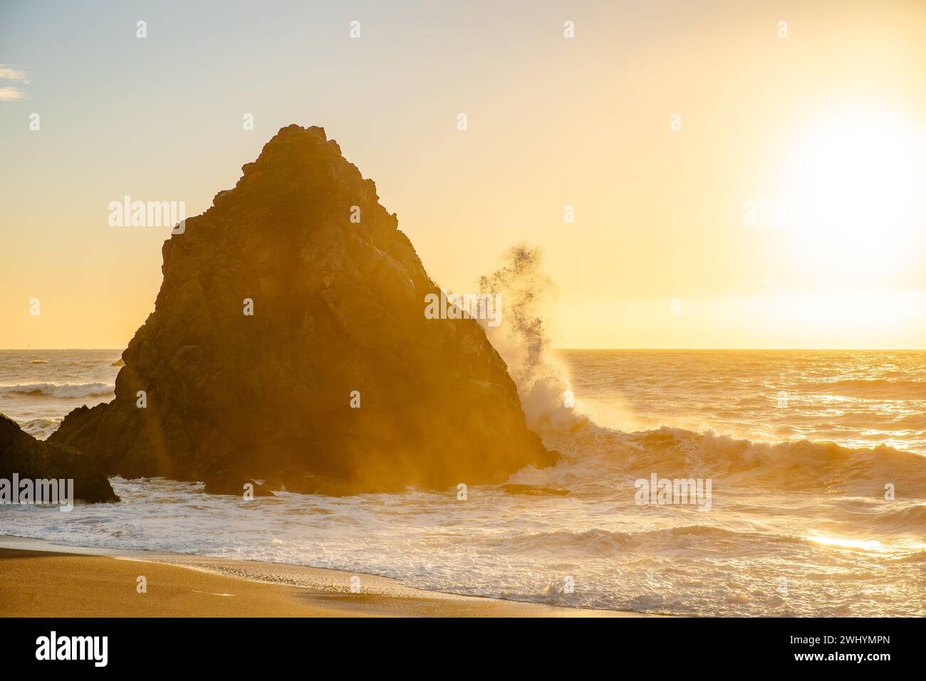 Goat Rock, Northern California, Seagull, Waves, Coastal beauty, Pacific ...