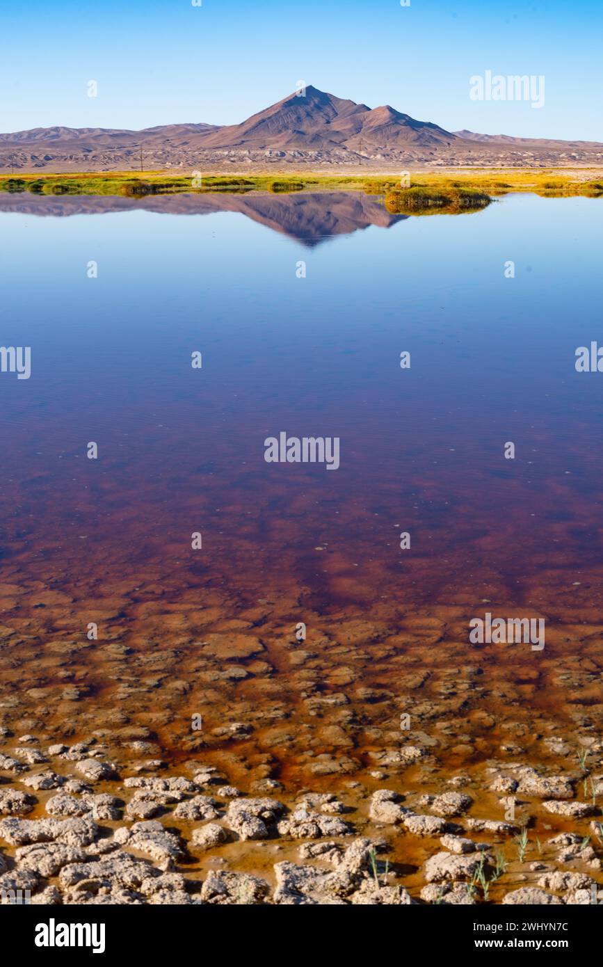 Tecopa Mountain, Panoramic View, Desert Oasis, Reflection, Perfect ...