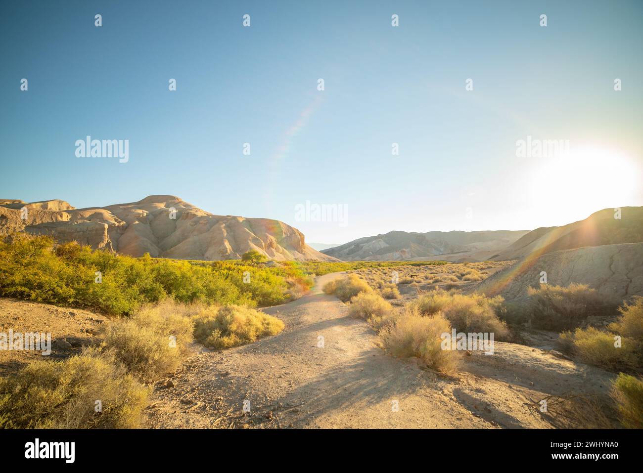 Desert, Death Valley, Sunset, China Ranch, Tecopa, California, Arid Landscape, Golden Hour, Dusk ...