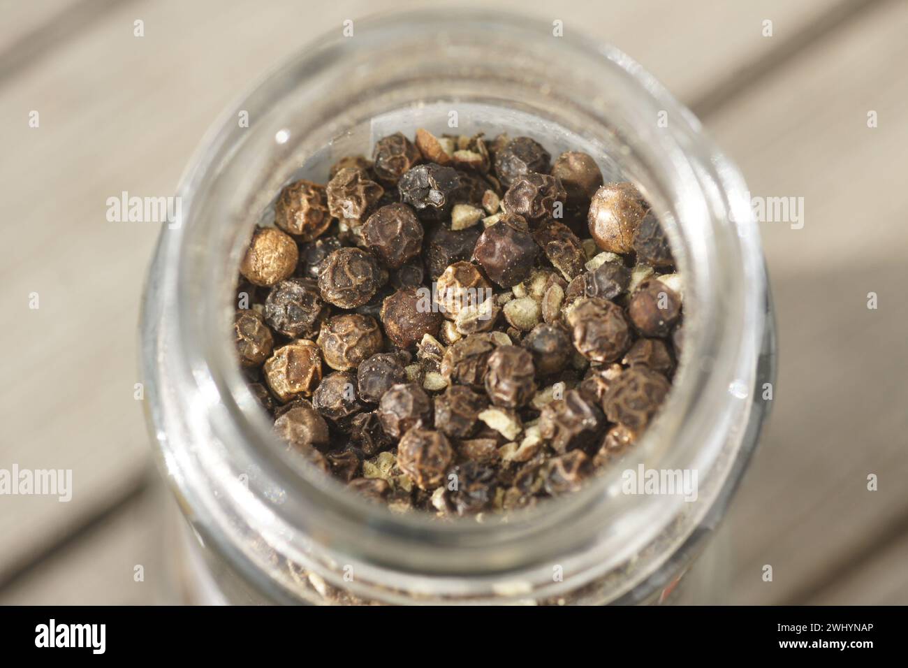 Piper nigrum, black pepper Stock Photo - Alamy