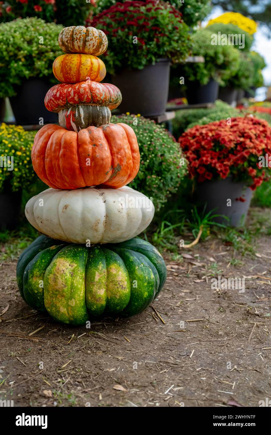 Upcoming festival hi-res stock photography and images - Alamy