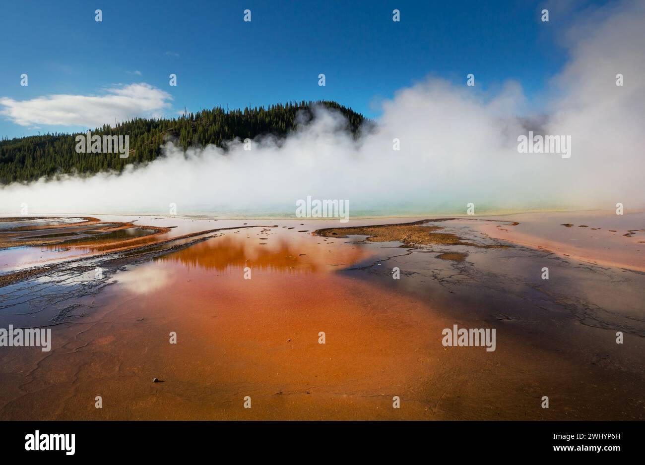 Hot and acidic thermal pools in Yellowstone National Park, USA Stock ...