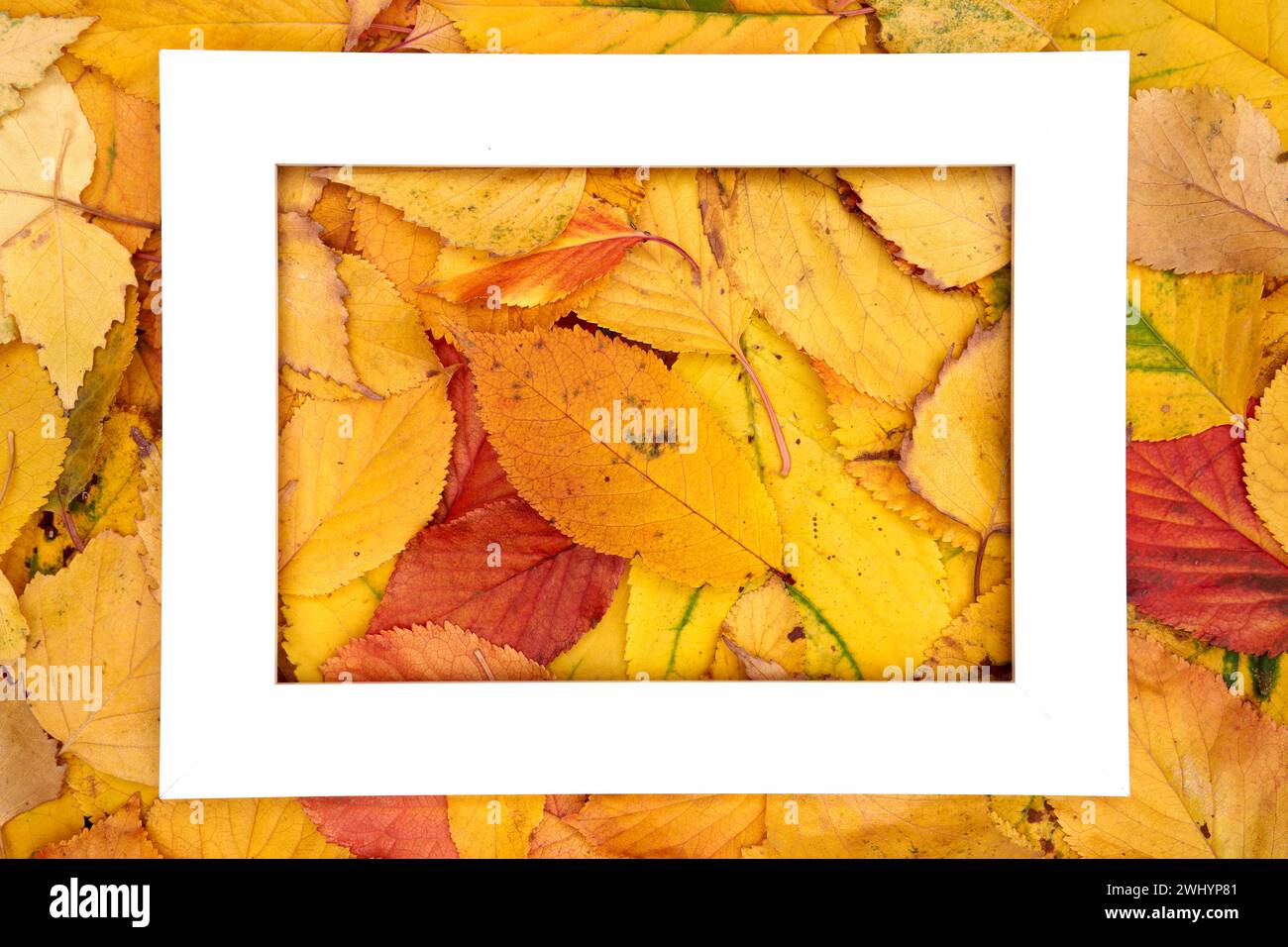 Horizontal frame hi-res stock photography and images - Alamy