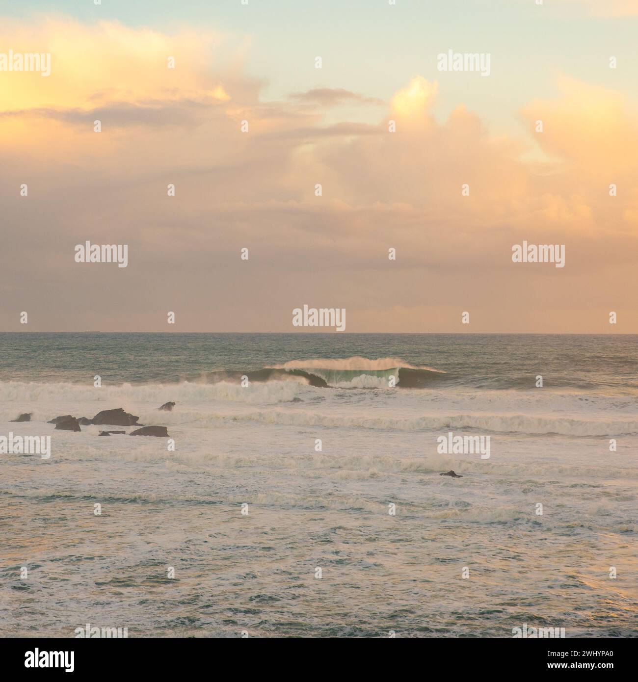 Spectators, Mavericks, Big Wave Surfing, Oceanfront, Coastal, Surf Watchers, Extreme Sports ...