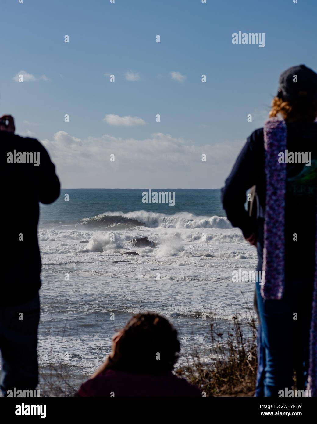 Surfing frenzy hi-res stock photography and images - Alamy