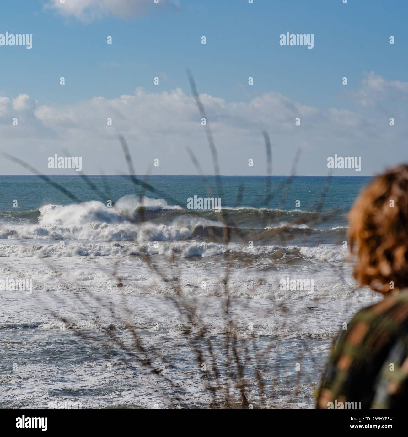 Surfing frenzy hi-res stock photography and images - Alamy