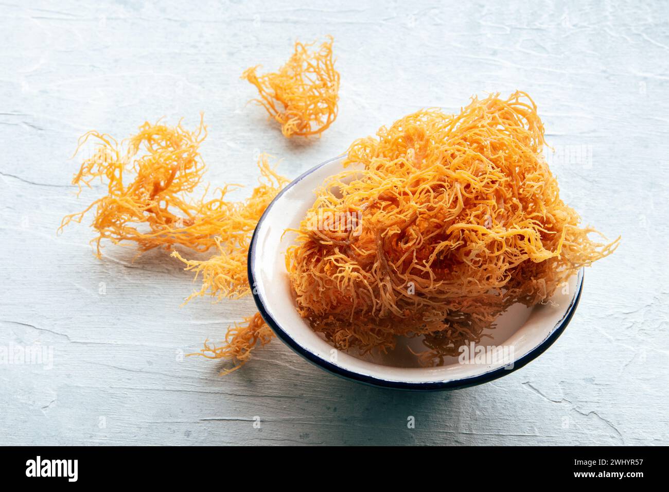 Irish sea moss, Chondrus Crispus, healthy organic raw seaweed, dried ...