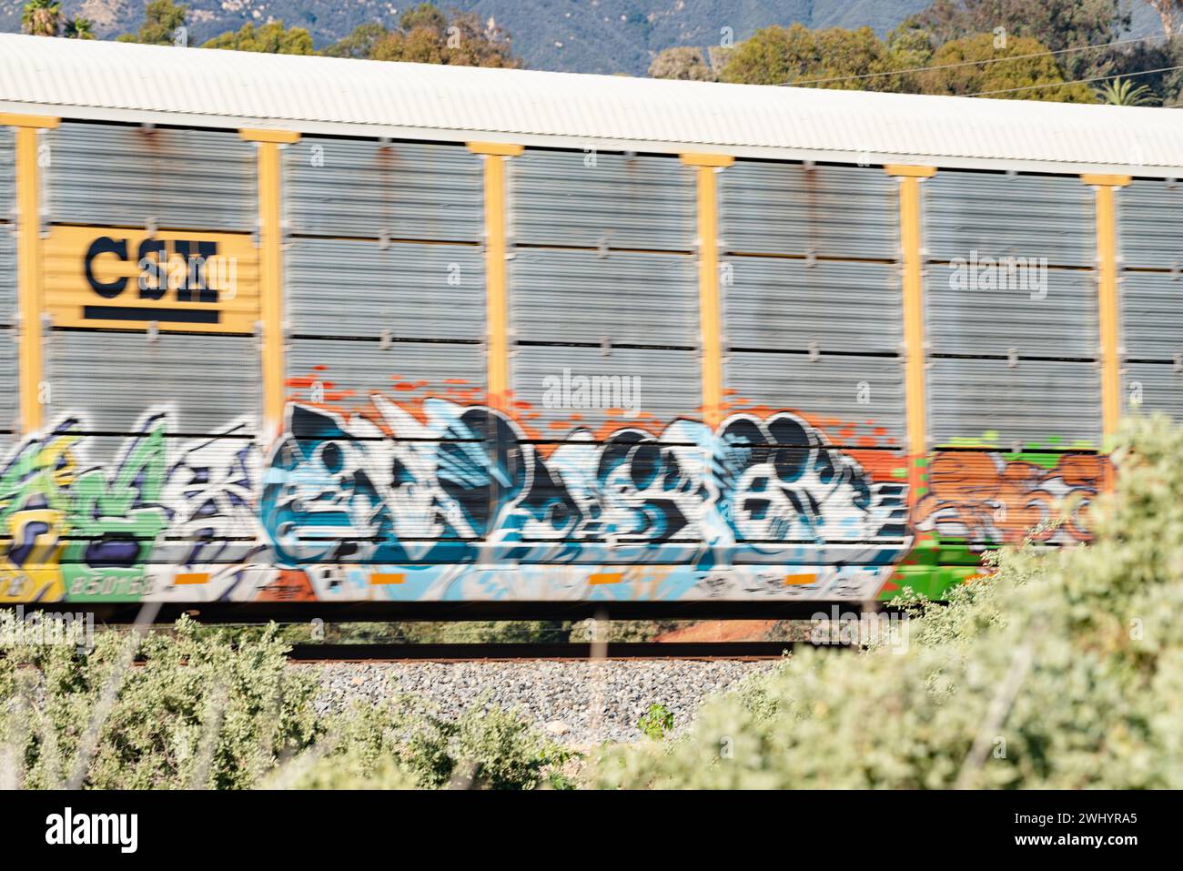 Train with graffiti hi-res stock photography and images - Alamy