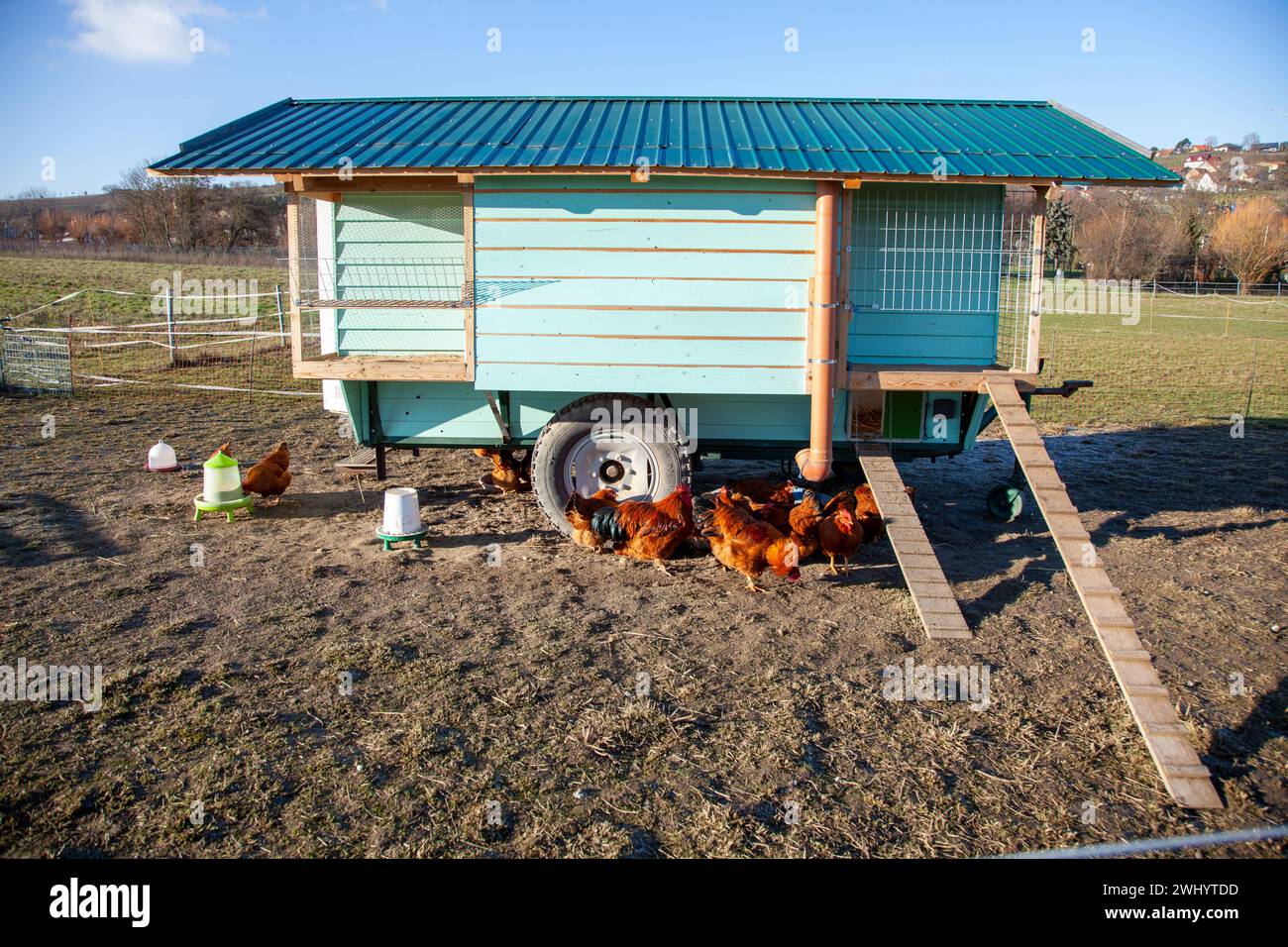 Beautiful blue green painted chicken coop. free range flock of Chickens ...