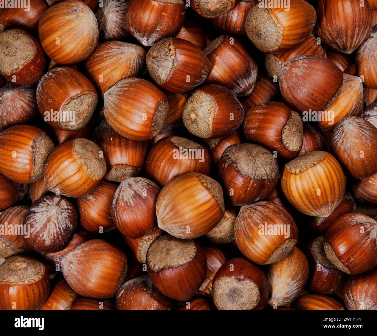 Full Frame of organic hazelnuts with nutshell, flat lay. Top view ...