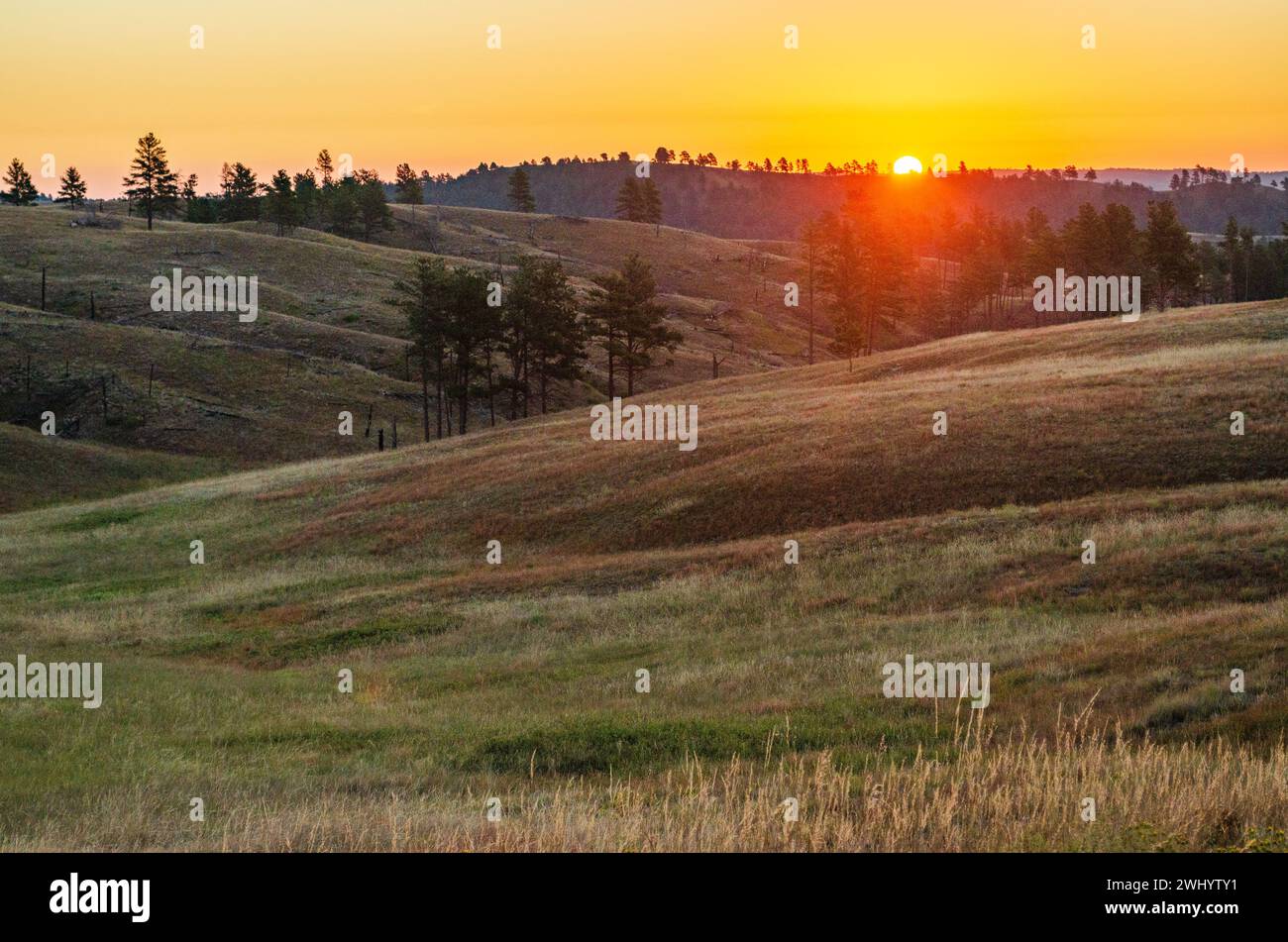 Prairies and Grasslands of Wind Cave National Park in South Dakota, USA ...