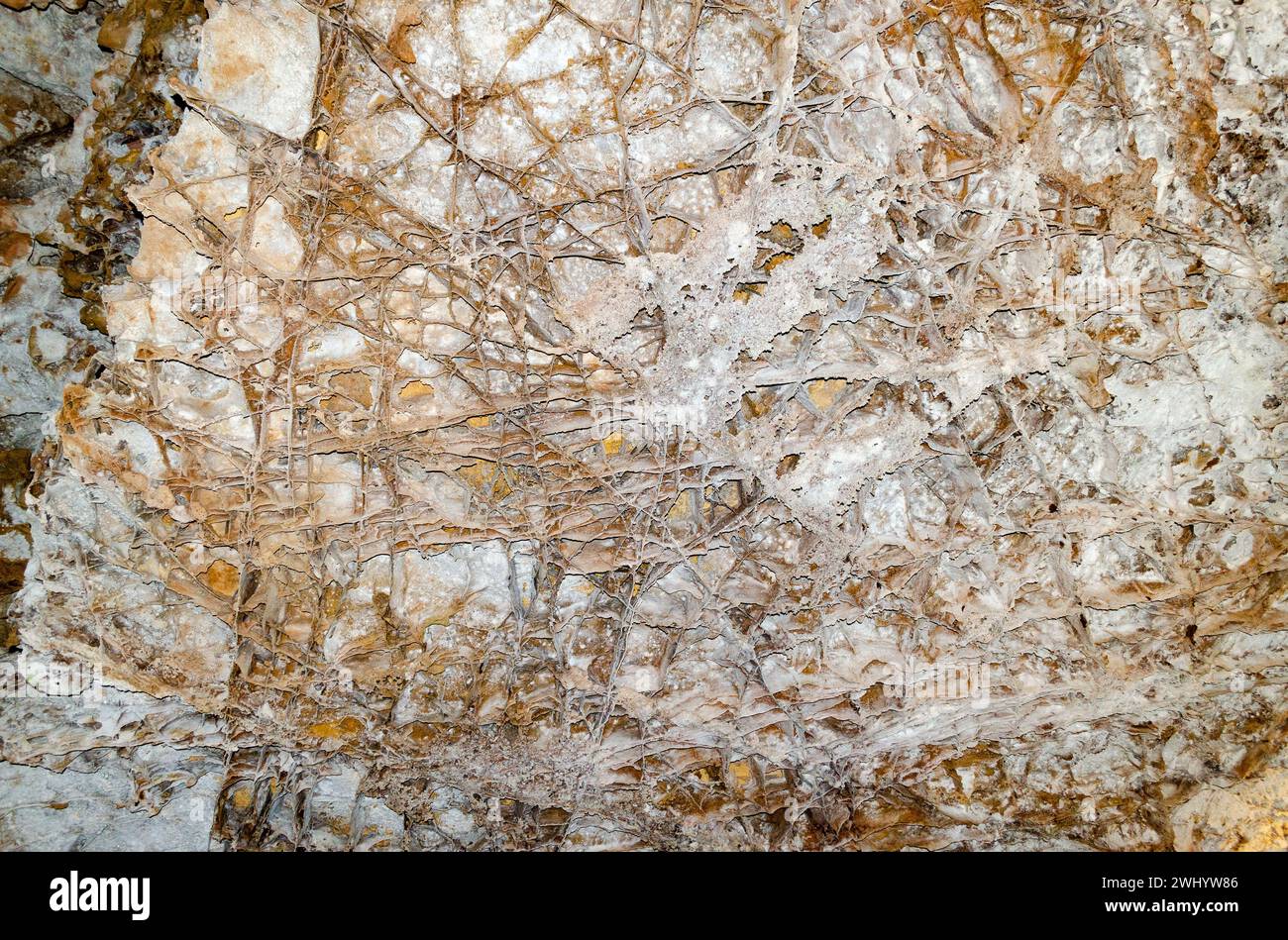 Wind cave national park ranger hi-res stock photography and images - Alamy