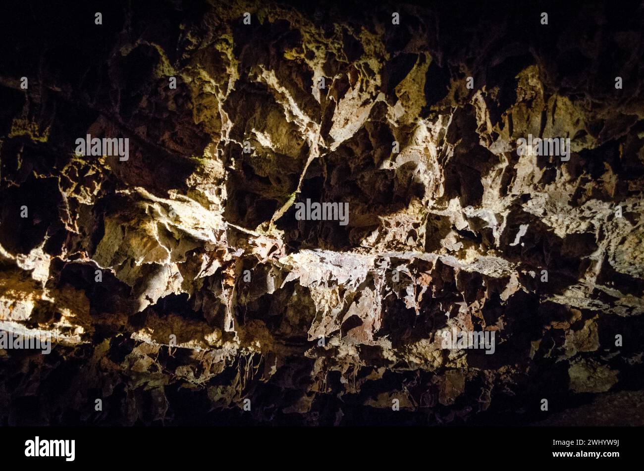 Wind cave national park ranger hi-res stock photography and images - Alamy
