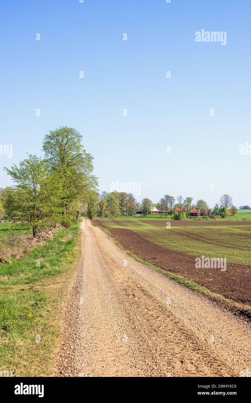 Long straight dirt road hi-res stock photography and images - Alamy