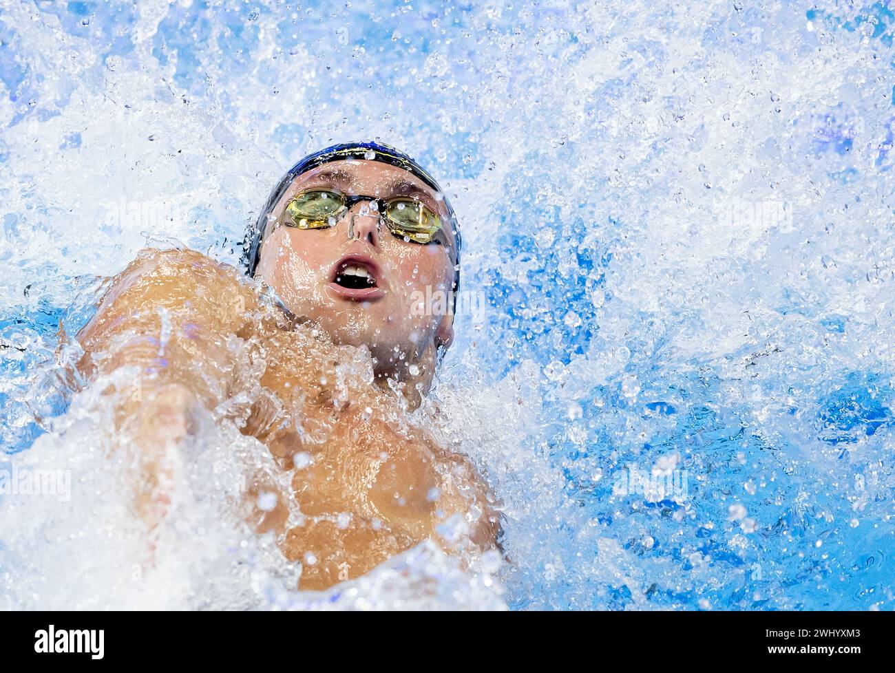 DOHA - Kai van Westering in action in the men's 100 back during the ...