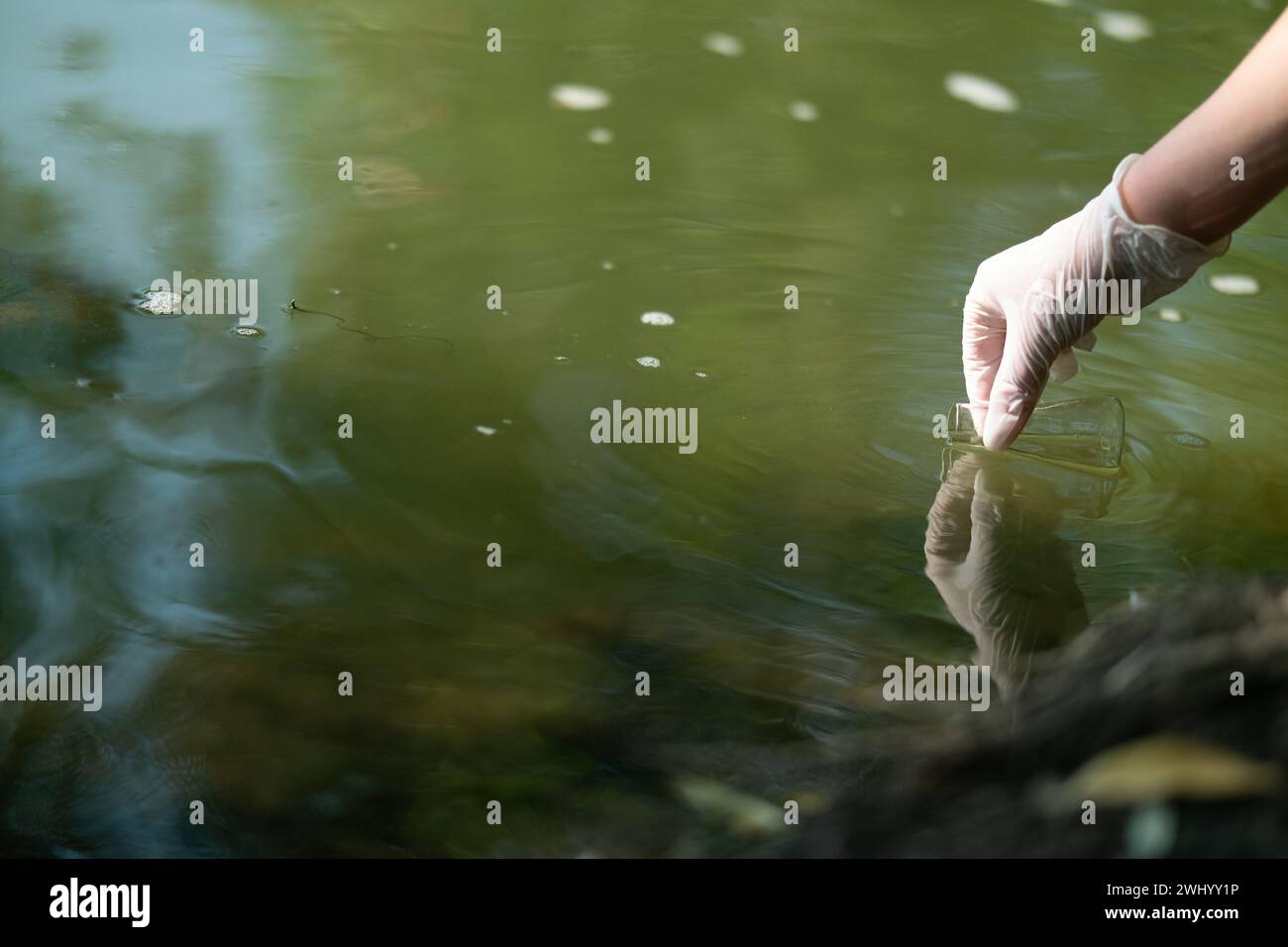 Sampling water for testing. Study of the quality of waste and drinking ...
